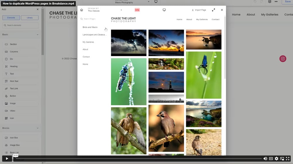 How To Copy Pages In Breakdance DMJ Web Design Swindon